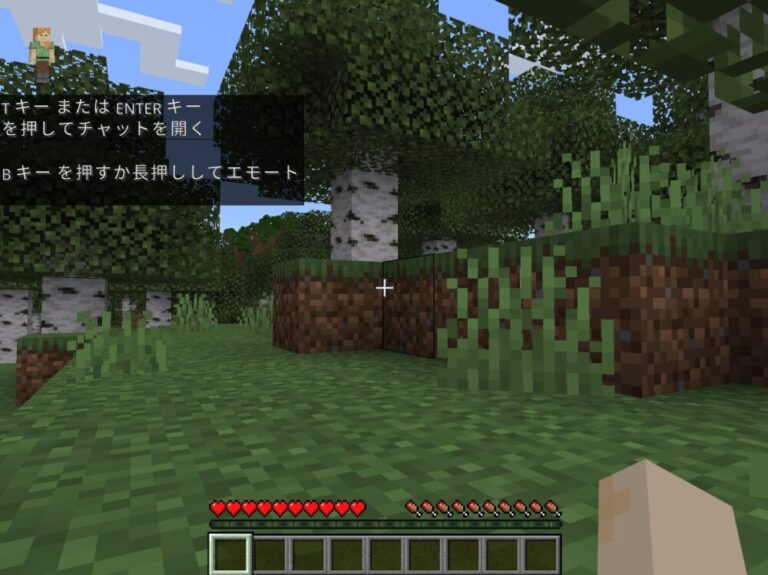 WindowsでPC版マイクラをはじめる方法！【統合版・Java版対応】 – Fika GAME