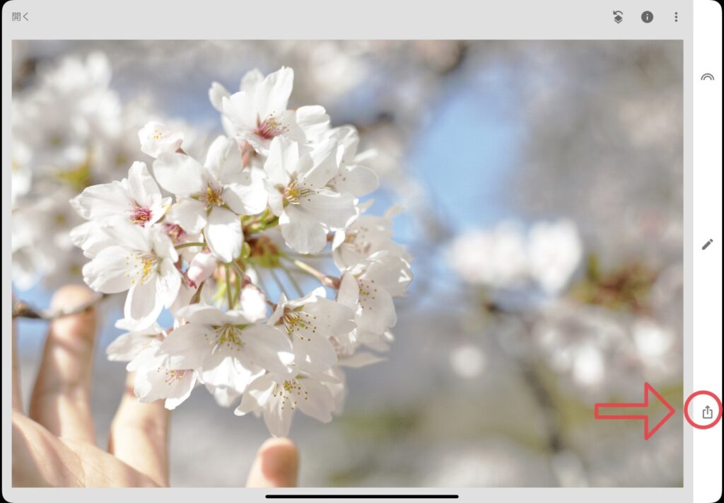 iPadでRAW現像ができる無料アプリ2選！取り込み・編集までiPadで完結 | Fika Magazine